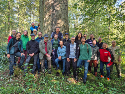 Jährliche Waldbegehung im Gemeindewald Appenweier - Gemeinde Appenweier ...